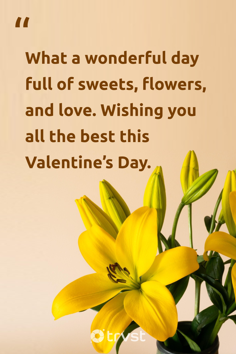 44 Romantic Valentine's Day Quotes to Fall in Love With