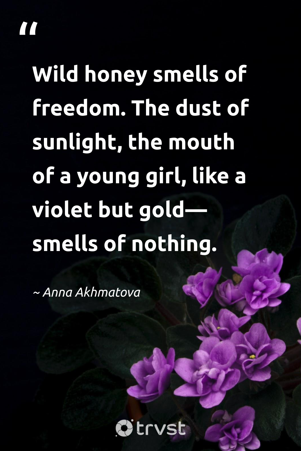 30 Violet Quotes Inspiring Lovely Blossoms