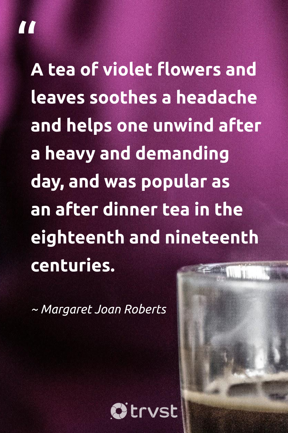 30 Violet Quotes Inspiring Lovely Blossoms