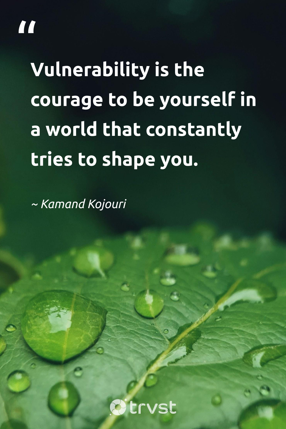 50 Vulnerability Quotes To Open Up More