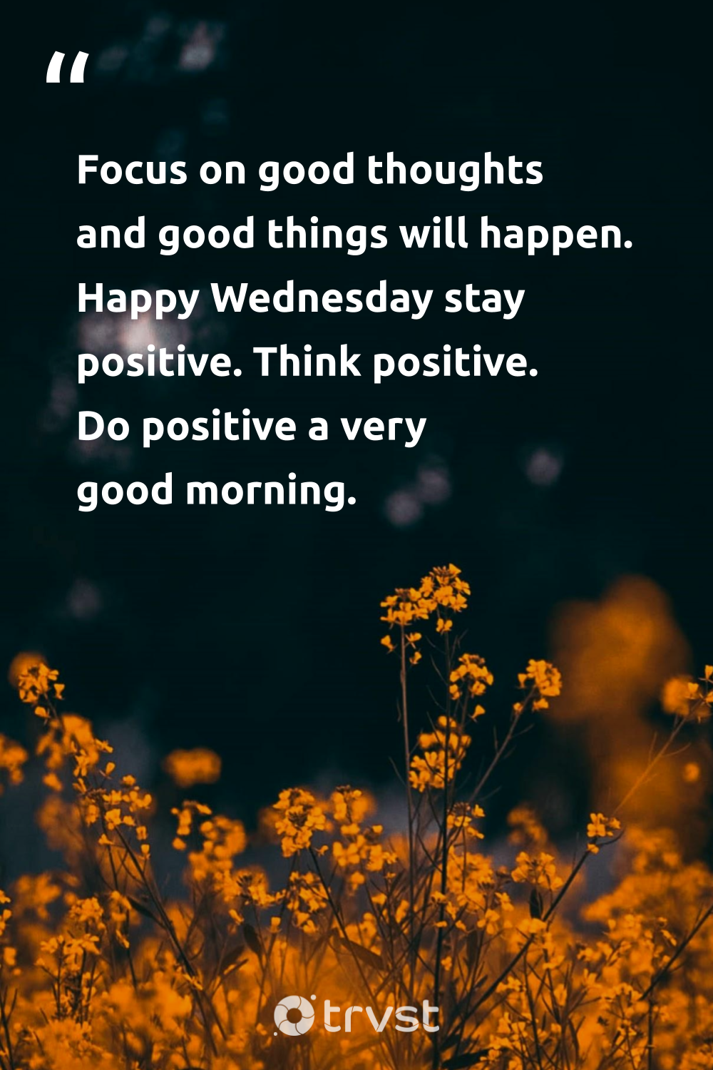 62 Wednesday Quotes & Mid-Week Sayings For Hump Day (2024)
