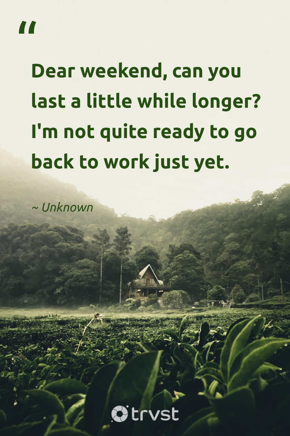 53 Weekend Quotes to Liven Up Your Rest Days (2024)