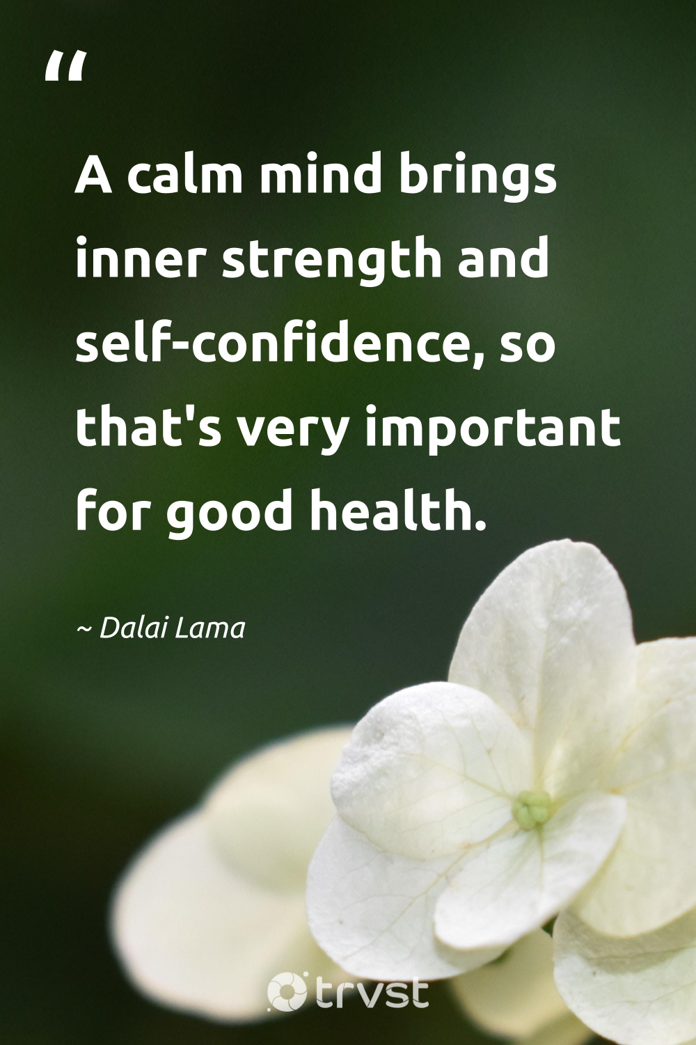 42 Wellness Wednesday Quotes For A Healthier Mid-Week (2025)