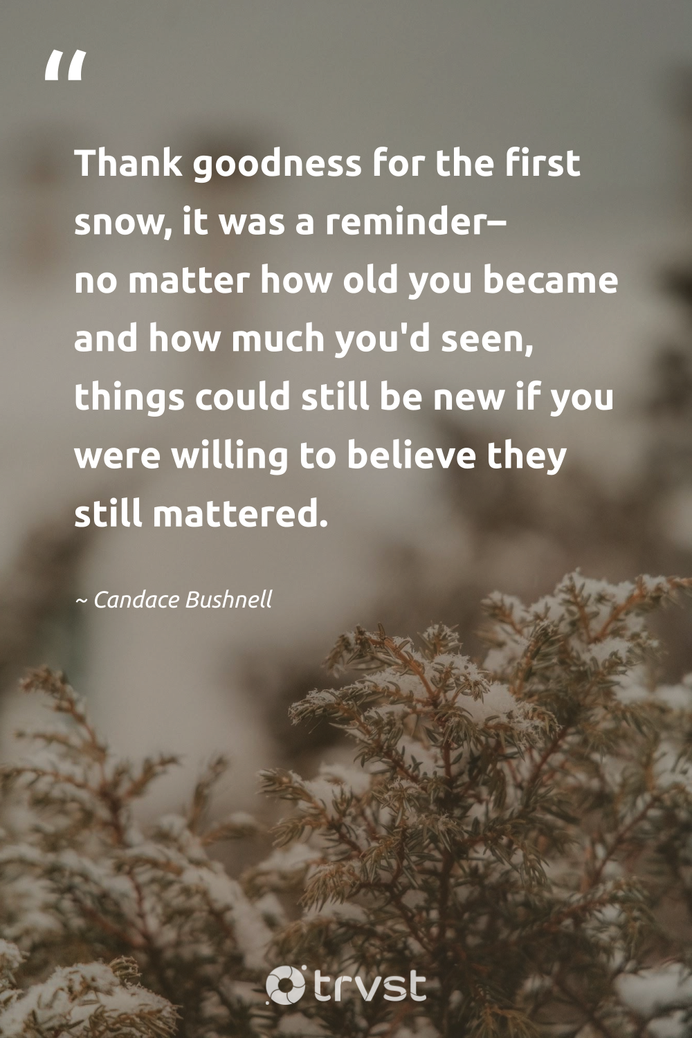 64 Winter Quotes to Welcome the Colder Months