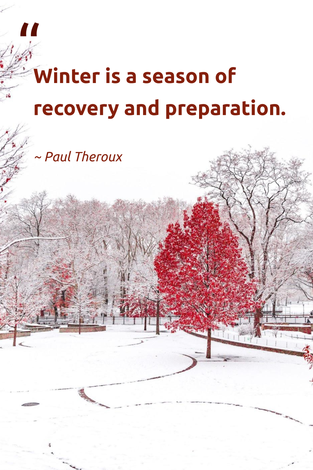 64 Winter Quotes to Welcome the Colder Months