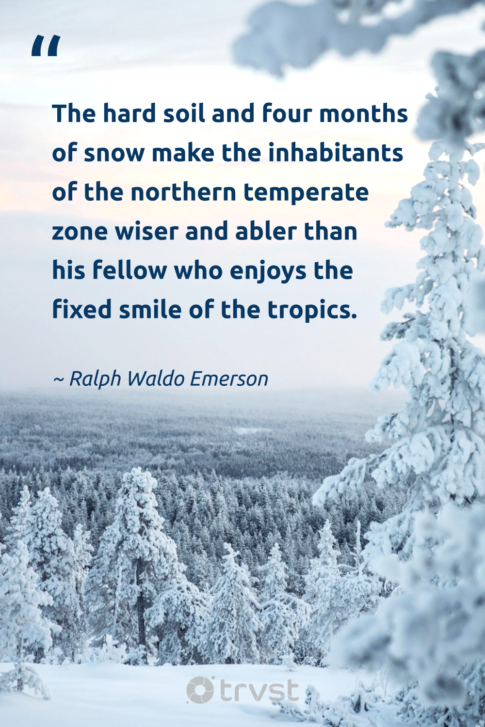 64 Winter Quotes to Welcome the Colder Months