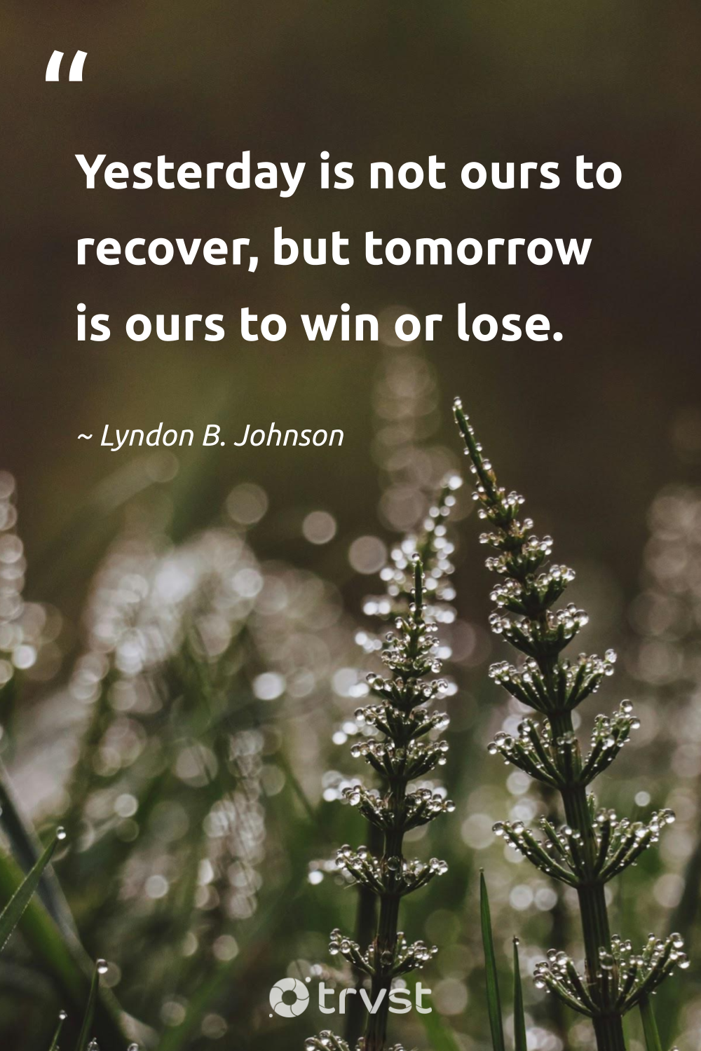 30 Yesterday Quotes Full of Hope and Motivation