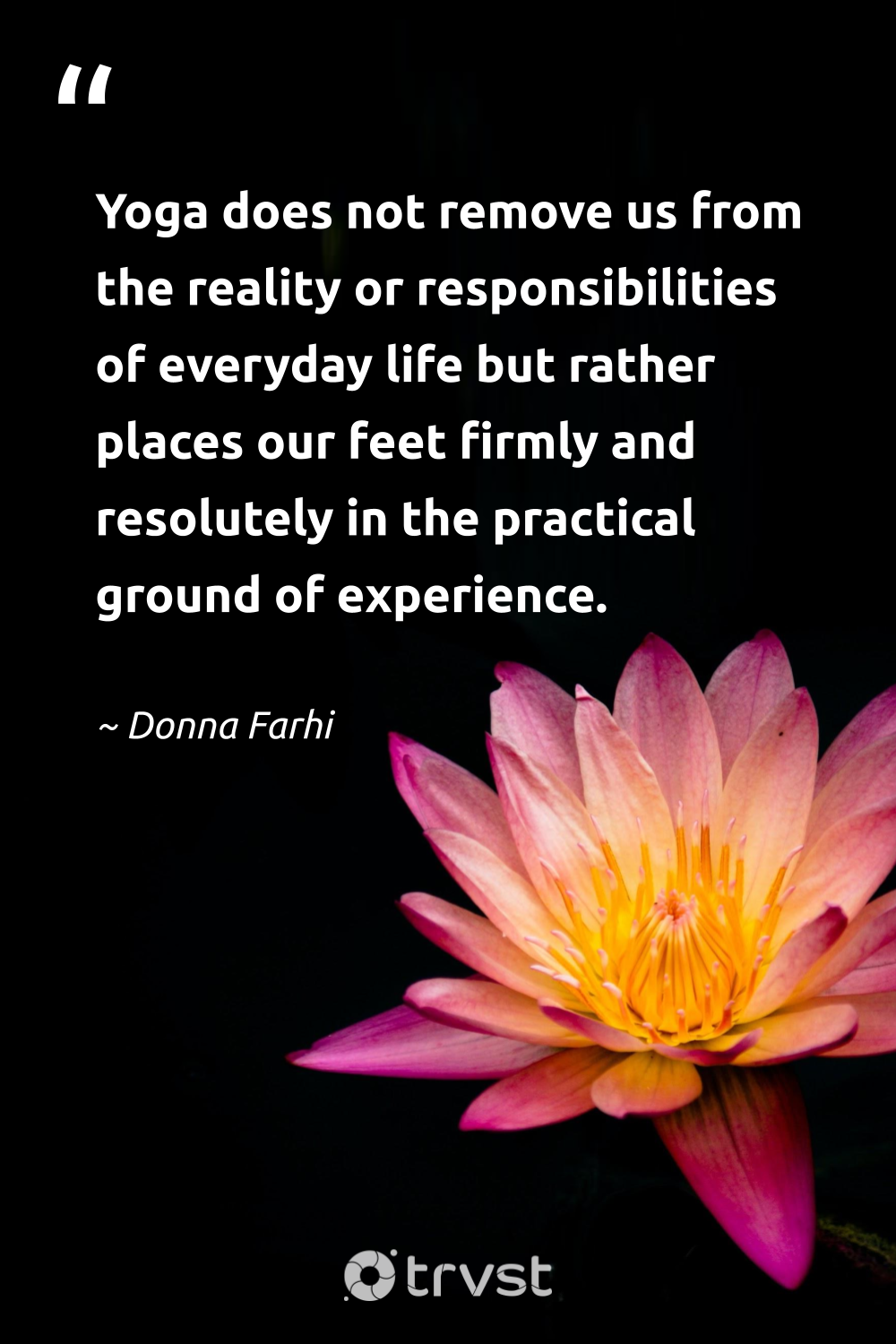 58 Yoga Quotes and Sayings for Your Mind, Body, and Spirit (2024)