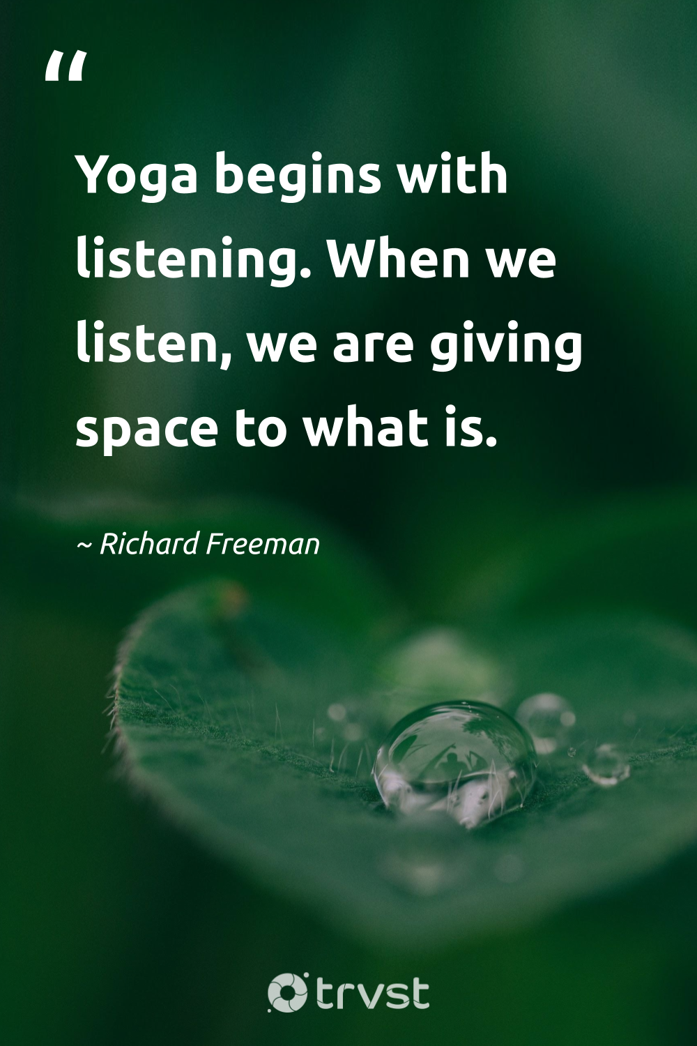 58 Yoga Quotes and Sayings for Your Mind, Body, and Spirit (2025)