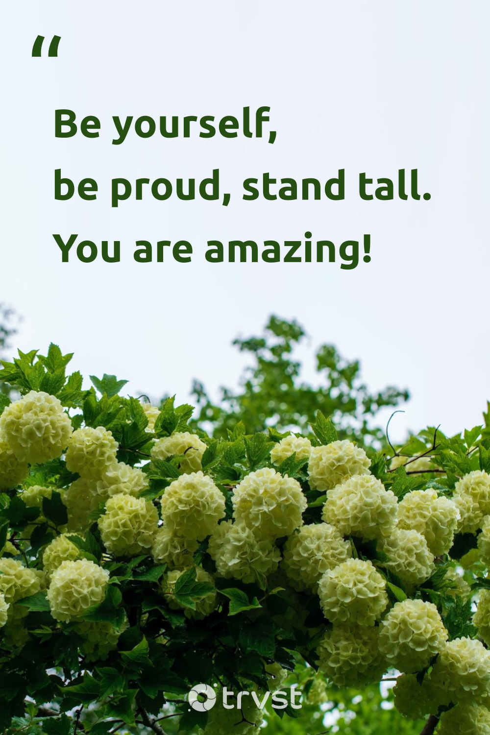 59 You Are Amazing Quotes to Say to Ourselves & Others (2025)