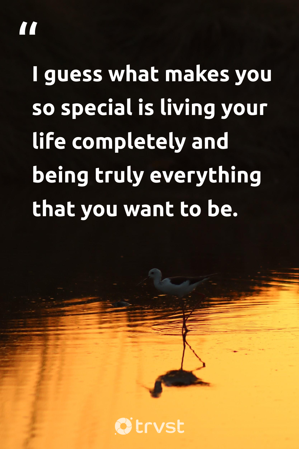 59 You Are Amazing Quotes to Say to Ourselves & Others (2025)