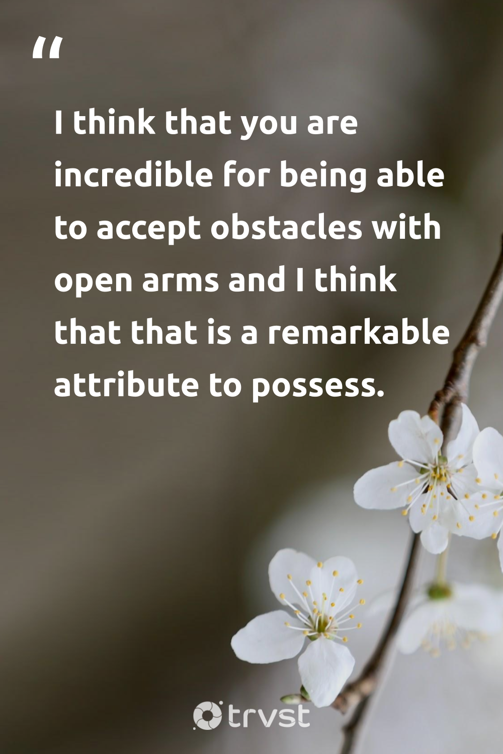 59 You Are Amazing Quotes to Say to Ourselves & Others (2024)