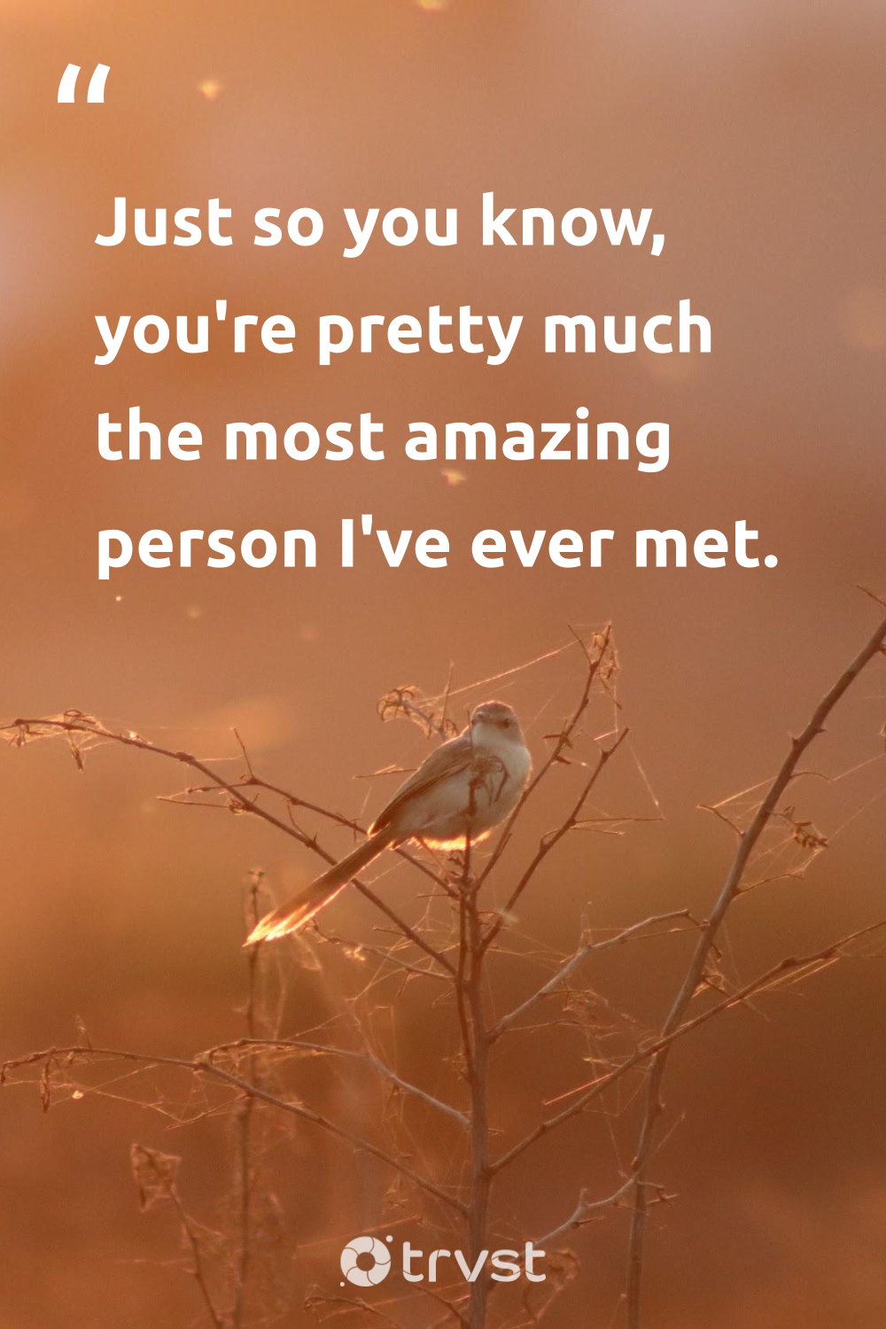 59 You Are Amazing Quotes to Say to Ourselves & Others (2025)