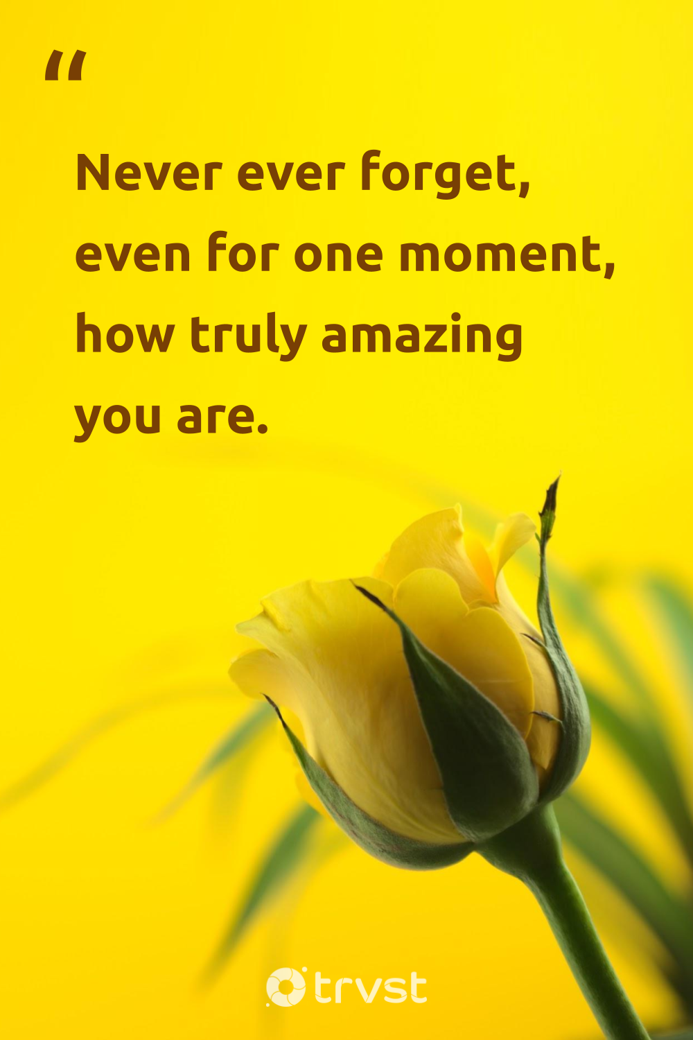 59 You Are Amazing Quotes to Say to Ourselves & Others (2025)