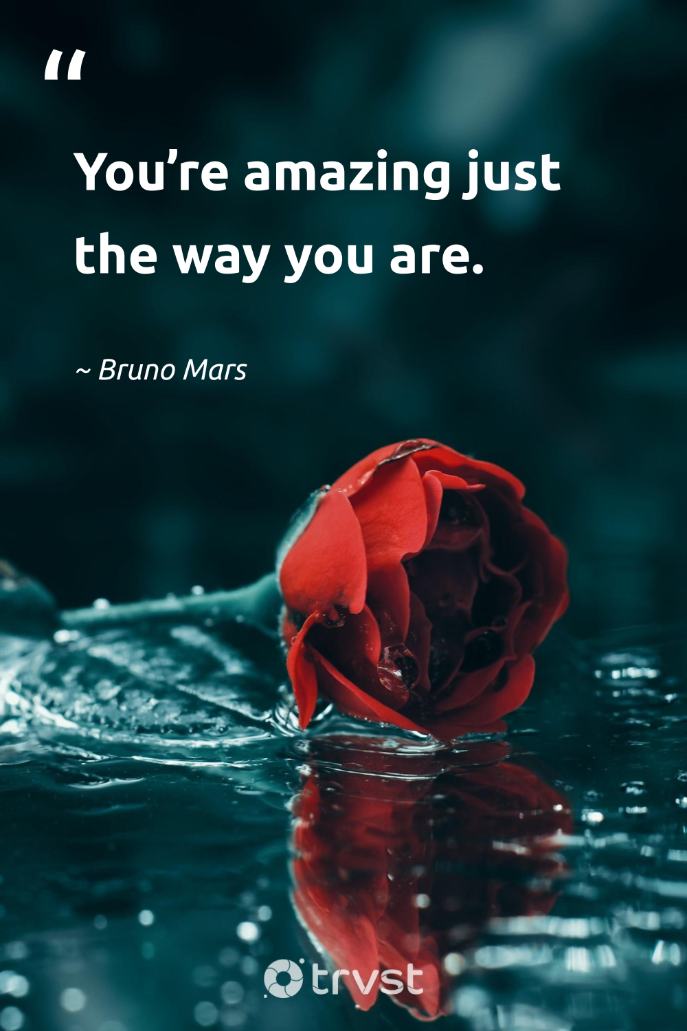 59 You Are Amazing Quotes to Say to Ourselves & Others (2024)