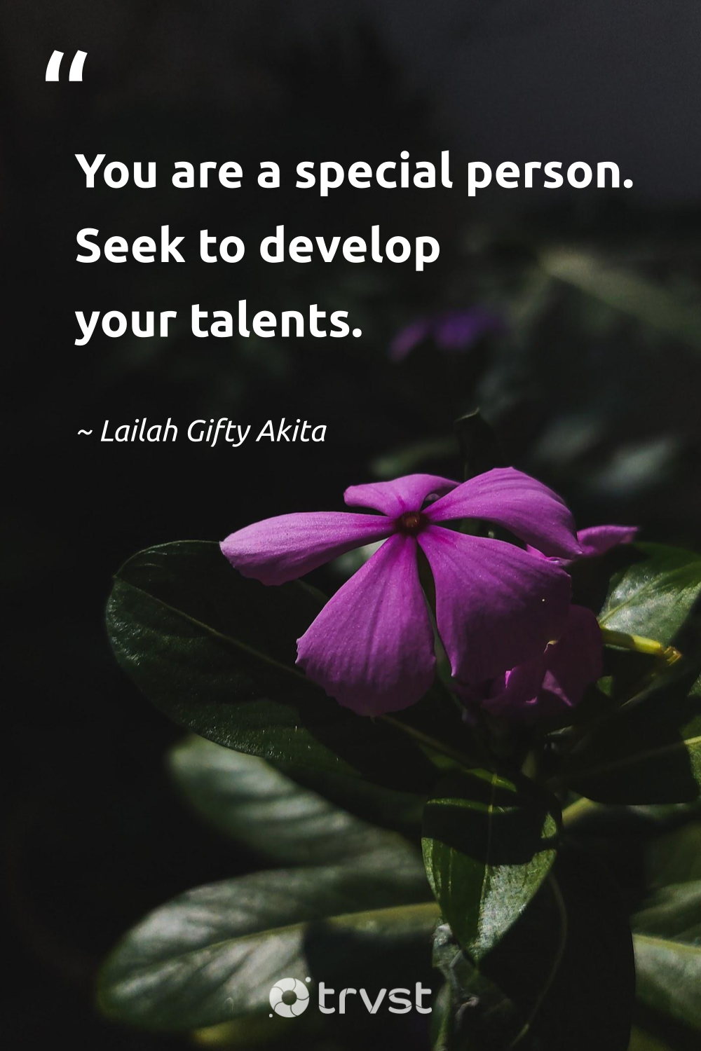 59 You Are Amazing Quotes to Say to Ourselves & Others (2025)