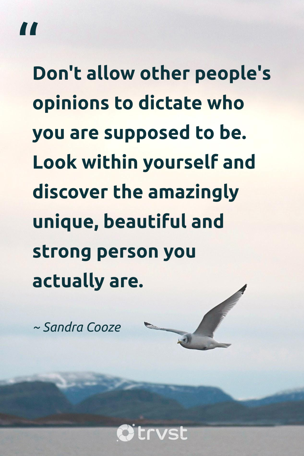 59 You Are Amazing Quotes to Say to Ourselves & Others (2025)