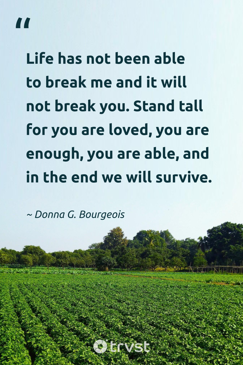 45 You Are Enough Quotes On Loving And Accepting Oneself