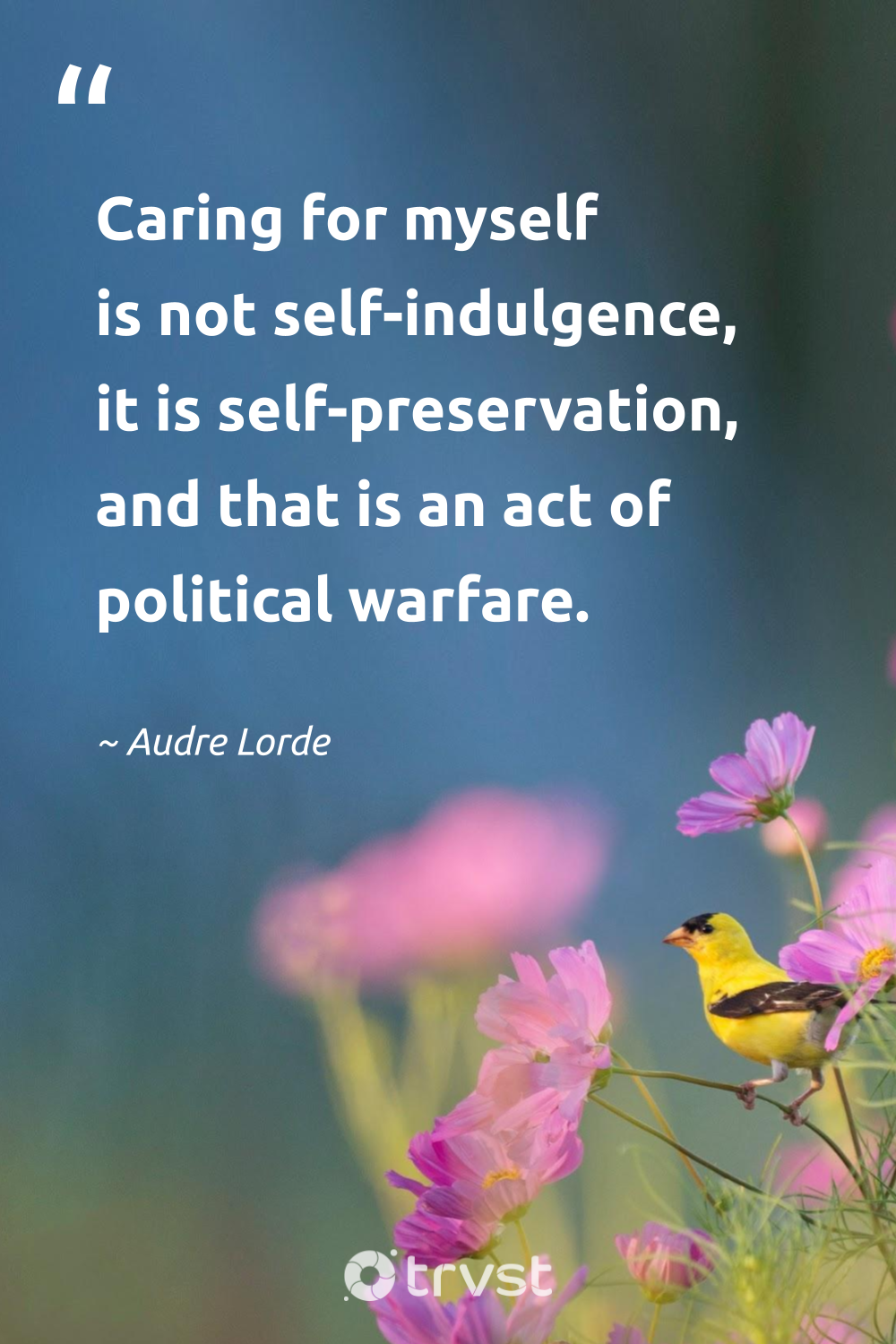 40 Positive Activism Quotes To Inspire Meaningful Collective Action