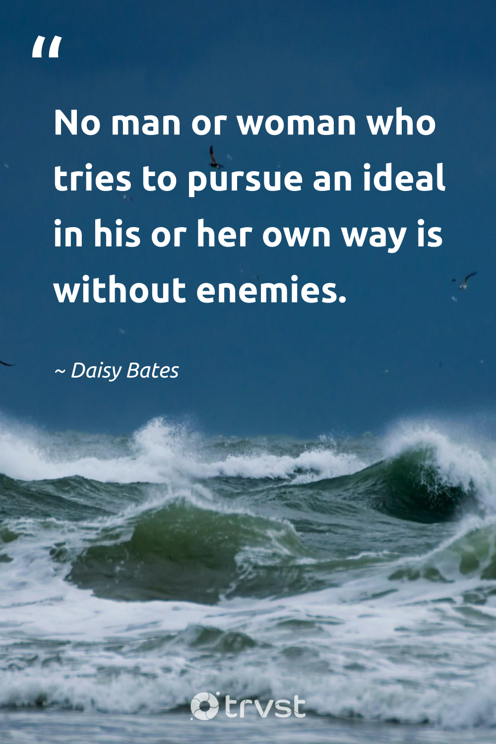 40 Positive Activism Quotes To Inspire Meaningful Collective Action