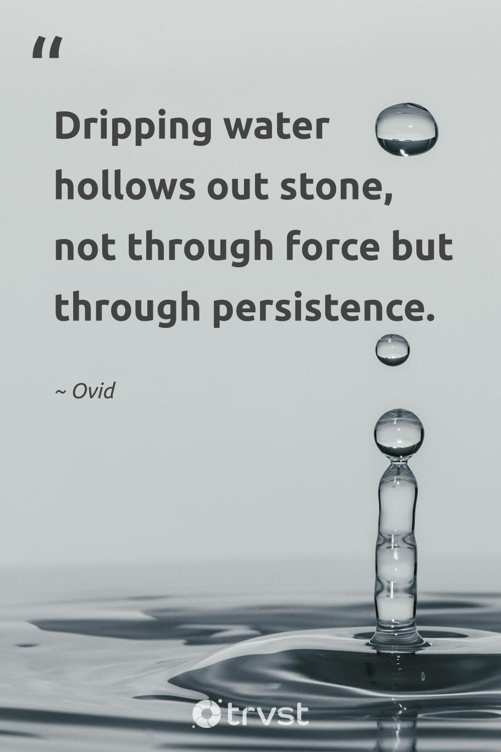 40 Positive Activism Quotes To Inspire Meaningful Collective Action