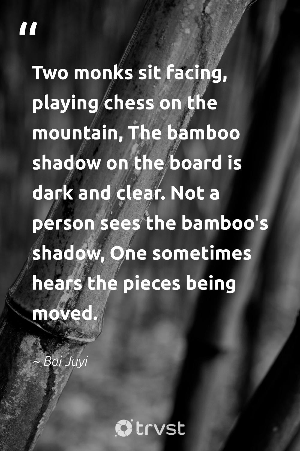 40 Bamboo Quotes From Proverbs to Bamboo's Sustainability