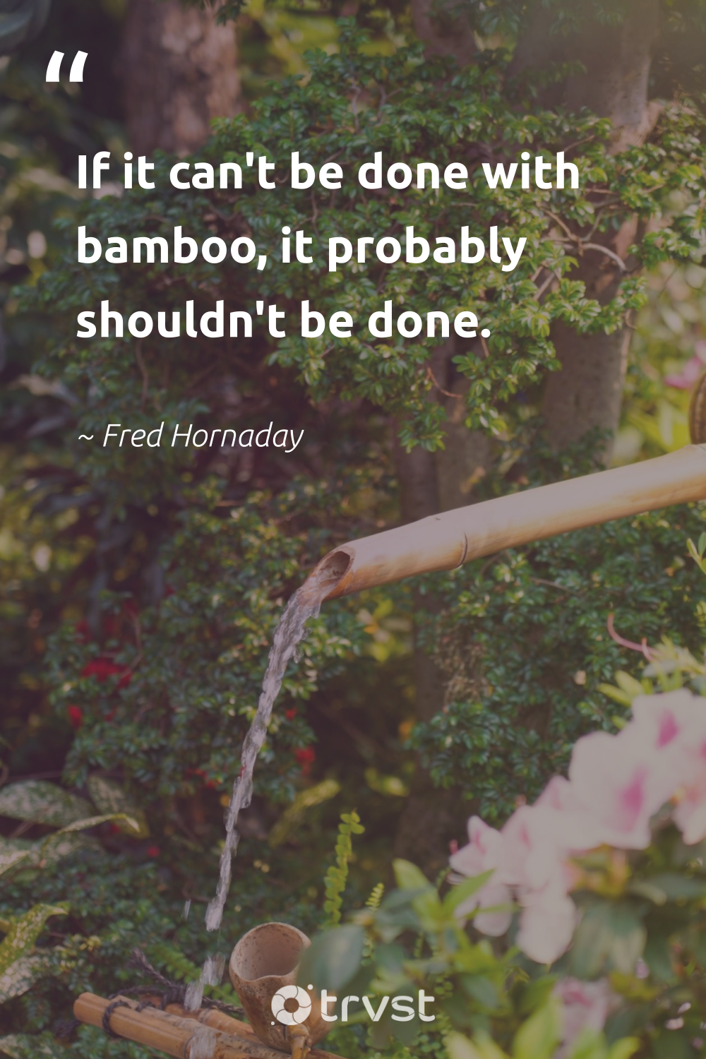 40 Bamboo Quotes From Proverbs to Bamboo's Sustainability