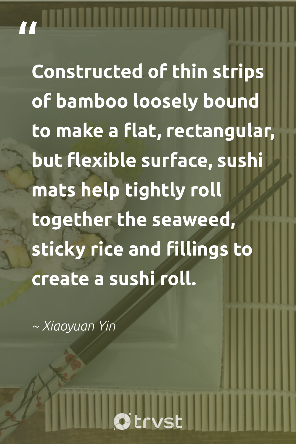 40 Bamboo Quotes From Proverbs to Bamboo's Sustainability