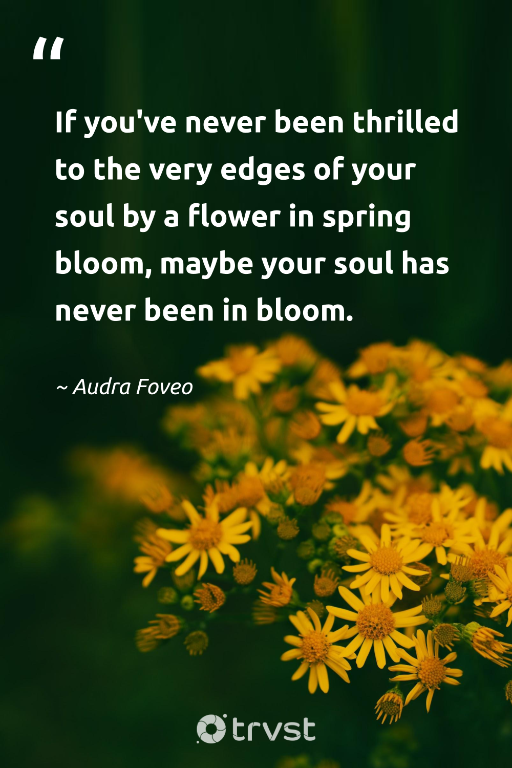 68 Bloom Quotes and Sayings Revealing Inner Beauty (2025)