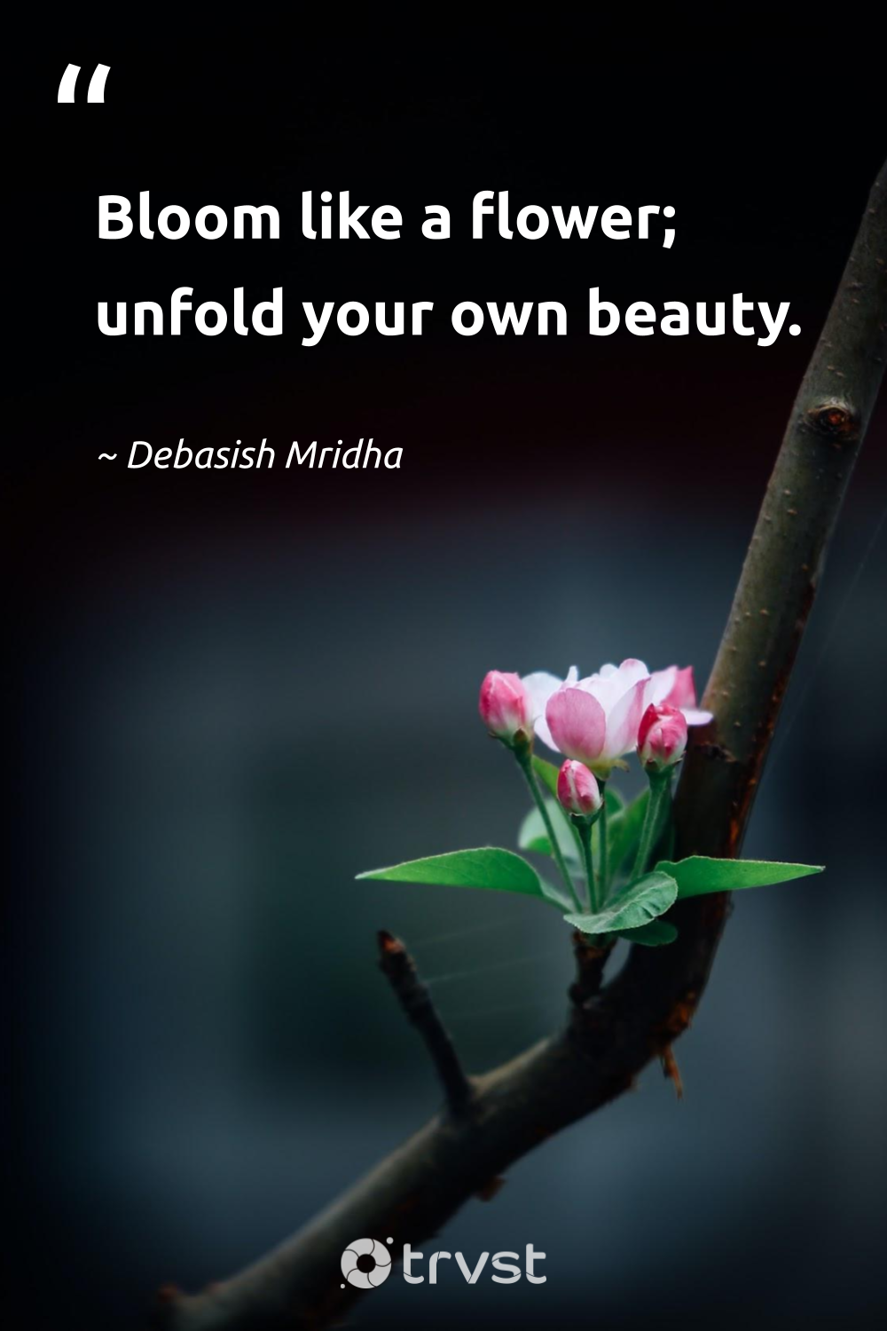 68 Bloom Quotes and Sayings Revealing Inner Beauty (2025)