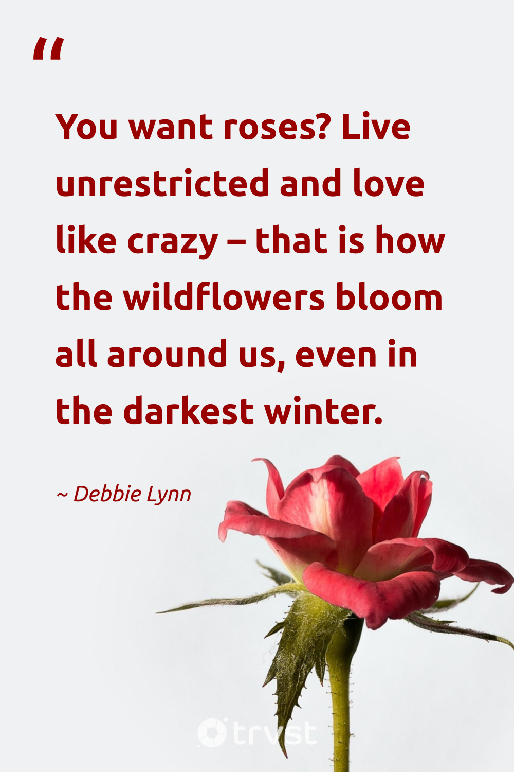 68 Bloom Quotes and Sayings Revealing Inner Beauty (2025)