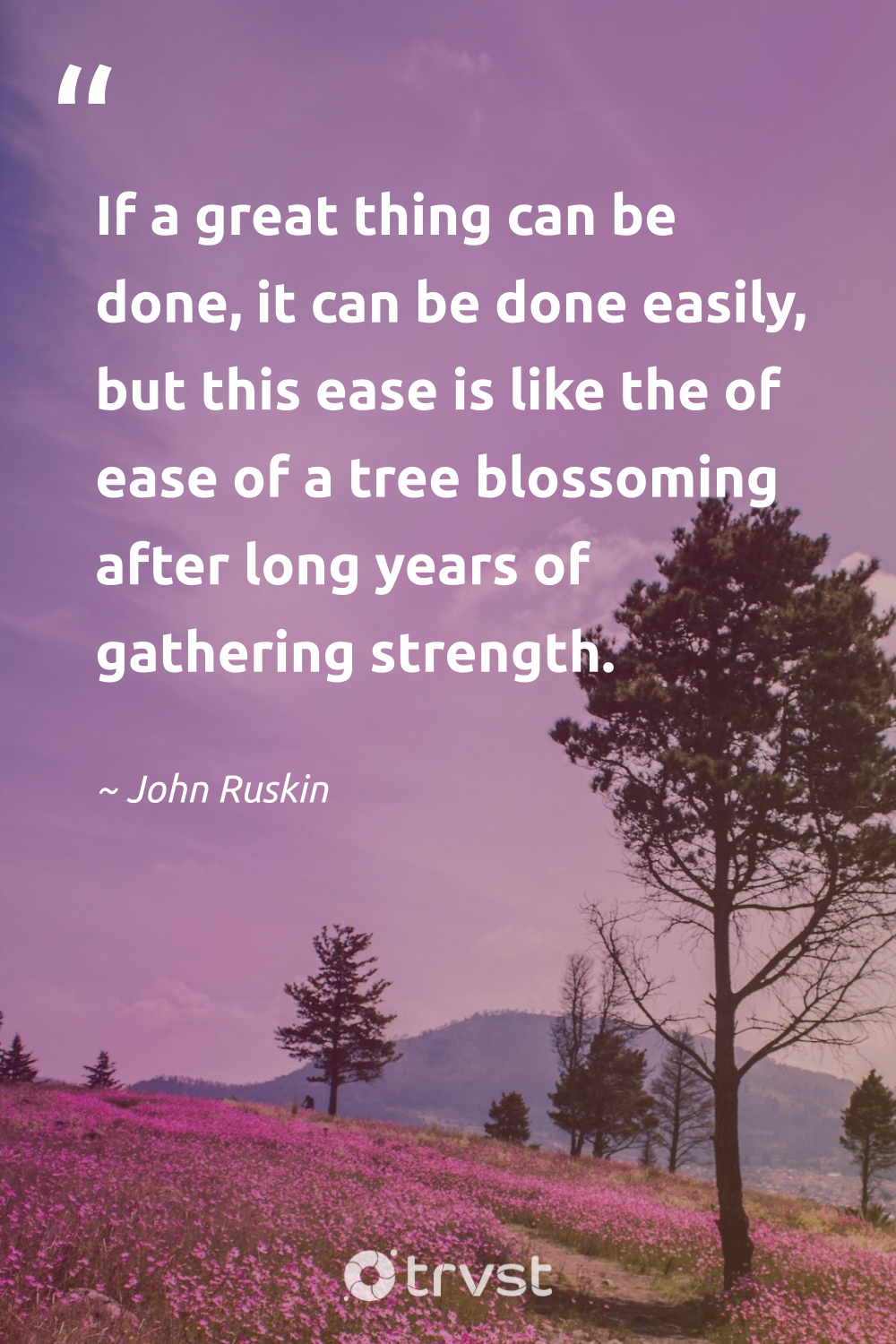 68 Bloom Quotes and Sayings Revealing Inner Beauty (2025)