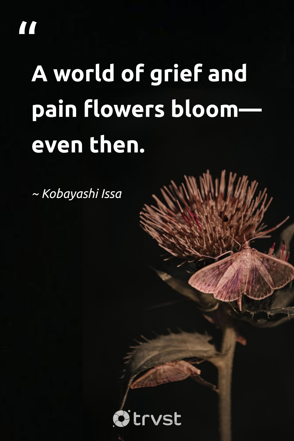 68 Bloom Quotes and Sayings Revealing Inner Beauty (2025)