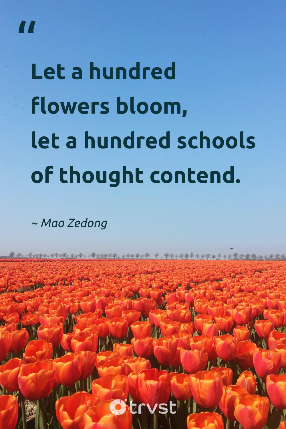 68 Bloom Quotes and Sayings Revealing Inner Beauty (2025)