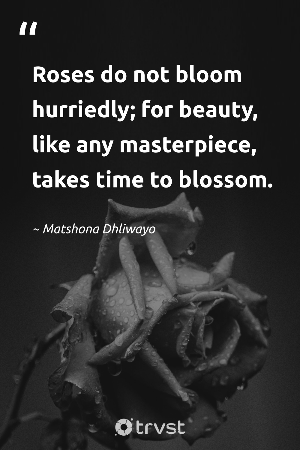 68 Bloom Quotes and Sayings Revealing Inner Beauty (2025)