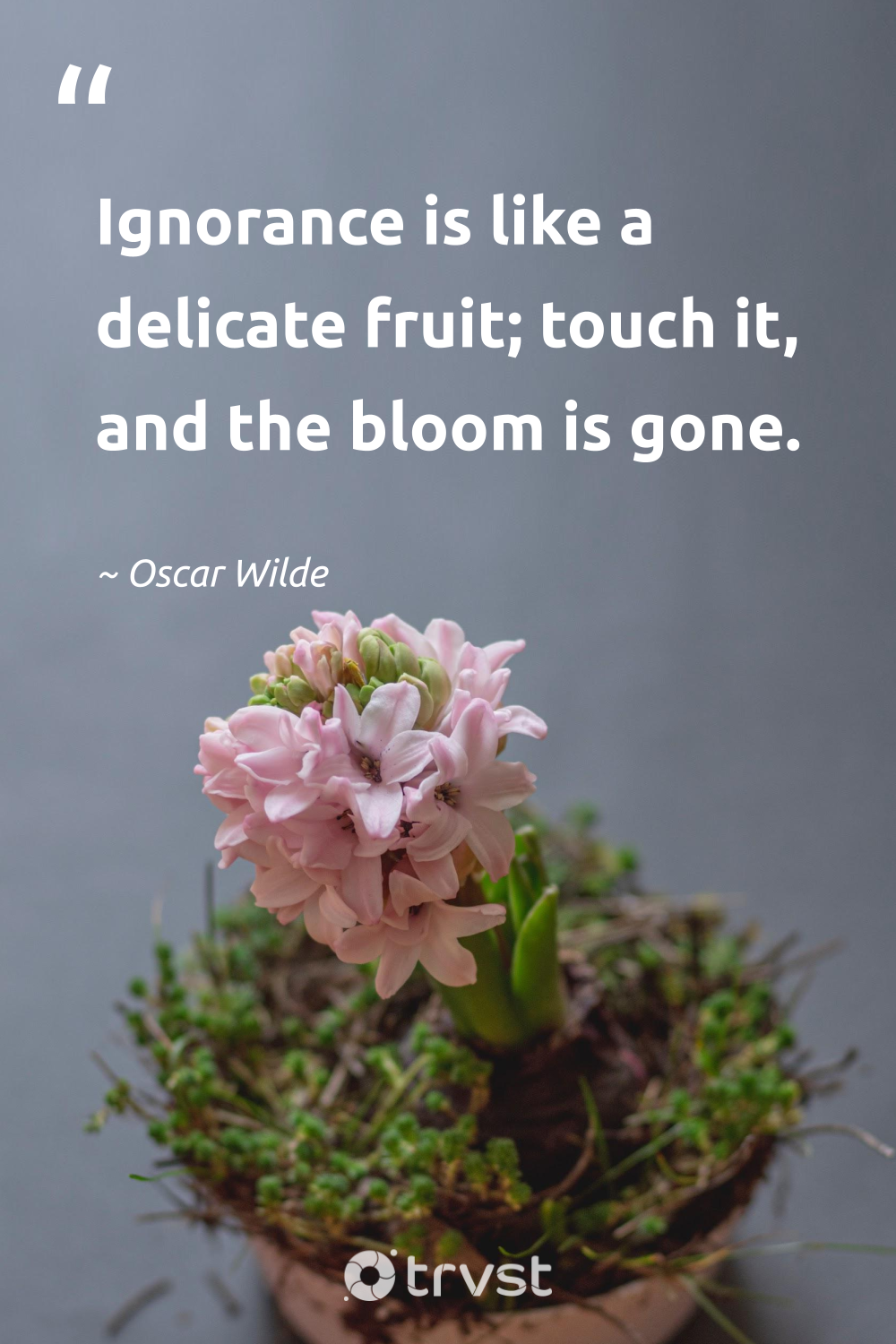 68 Bloom Quotes and Sayings Revealing Inner Beauty (2025)