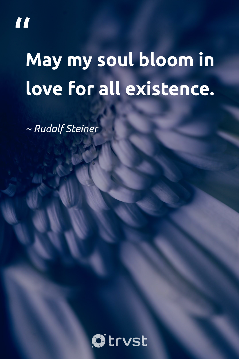 68 Bloom Quotes and Sayings Revealing Inner Beauty (2025)