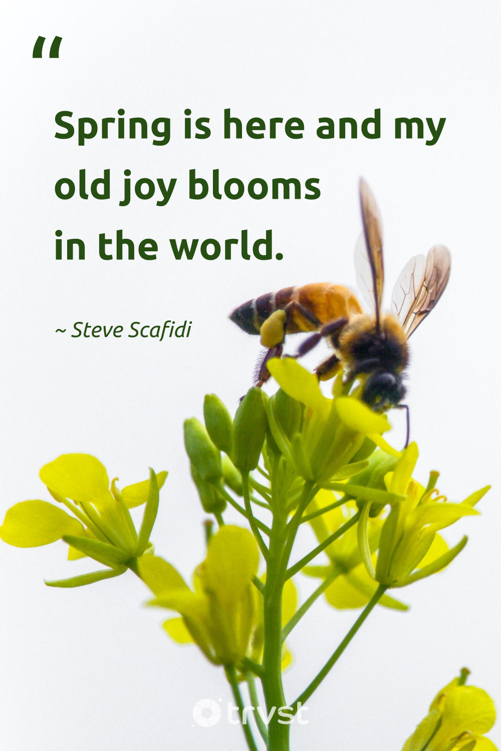 68 Bloom Quotes and Sayings Revealing Inner Beauty (2025)