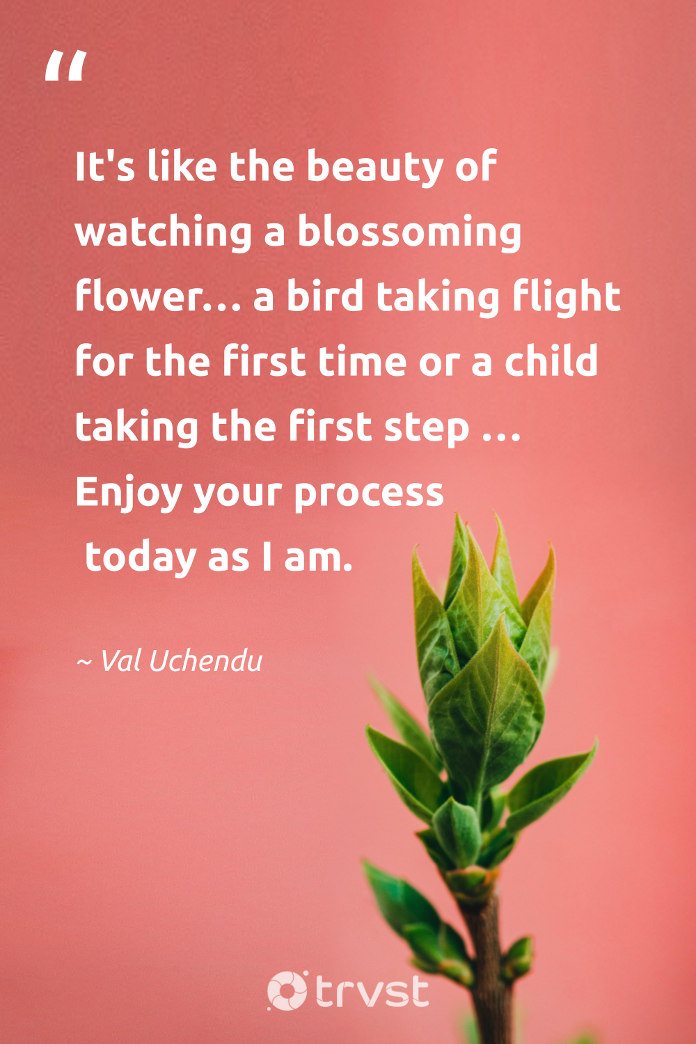 68 Bloom Quotes and Sayings Revealing Inner Beauty (2025)