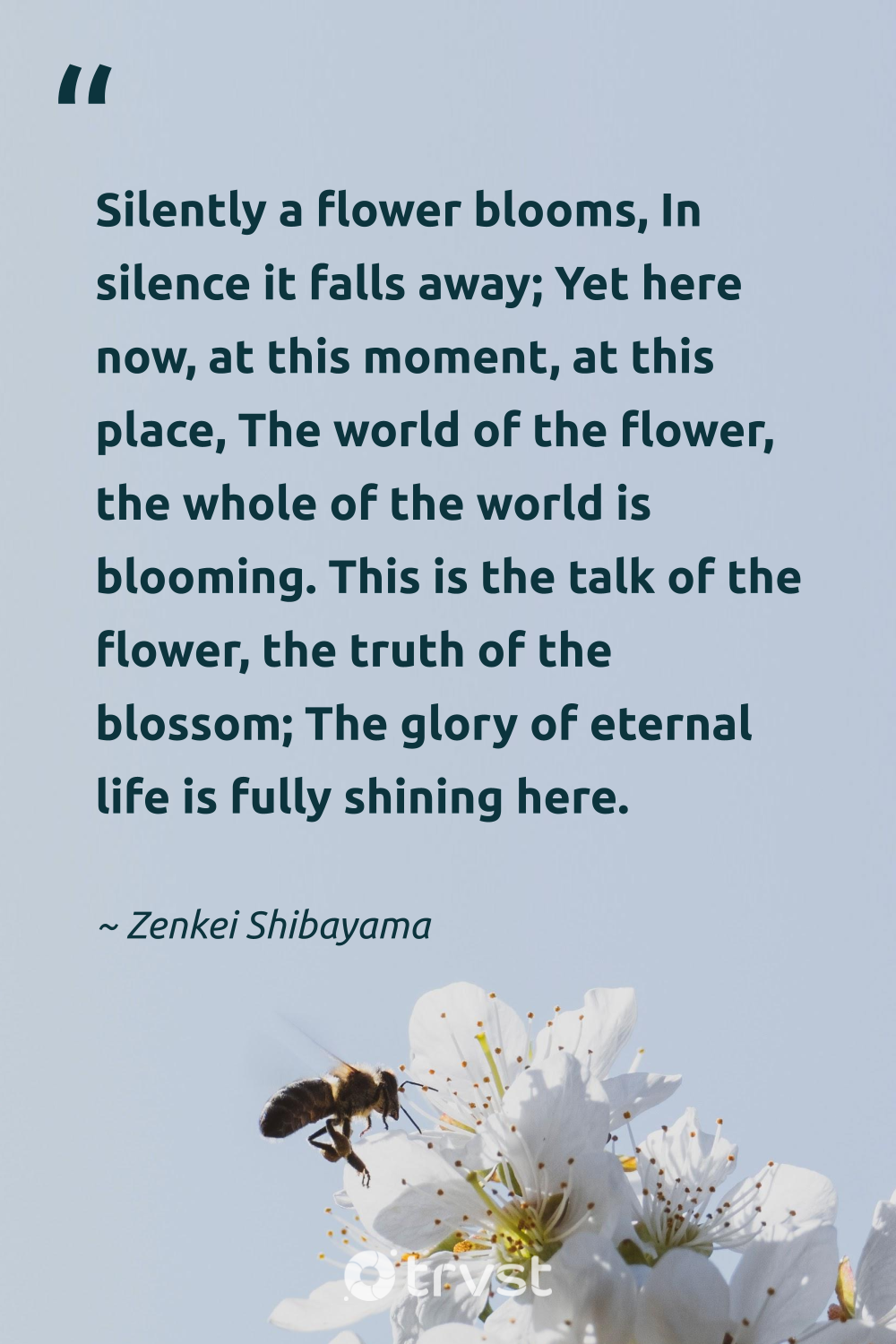 68 Bloom Quotes and Sayings Revealing Inner Beauty (2025)