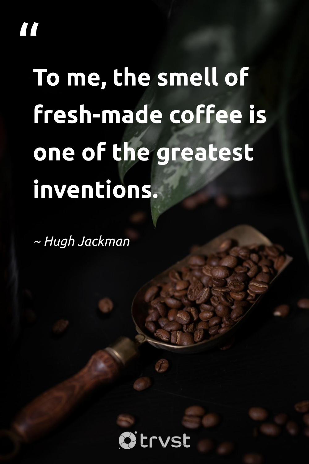 61 Coffee Quotes and Sayings to Energize & Kick Start the Day