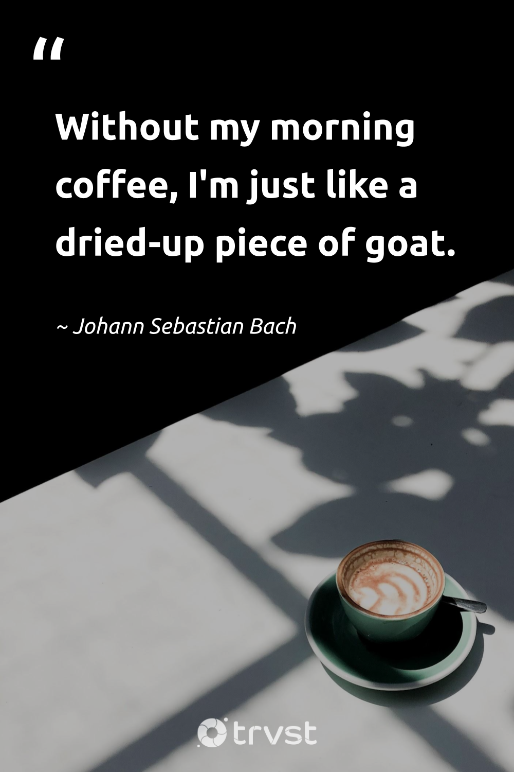 61 Coffee Quotes and Sayings to Energize & Kick Start the Day