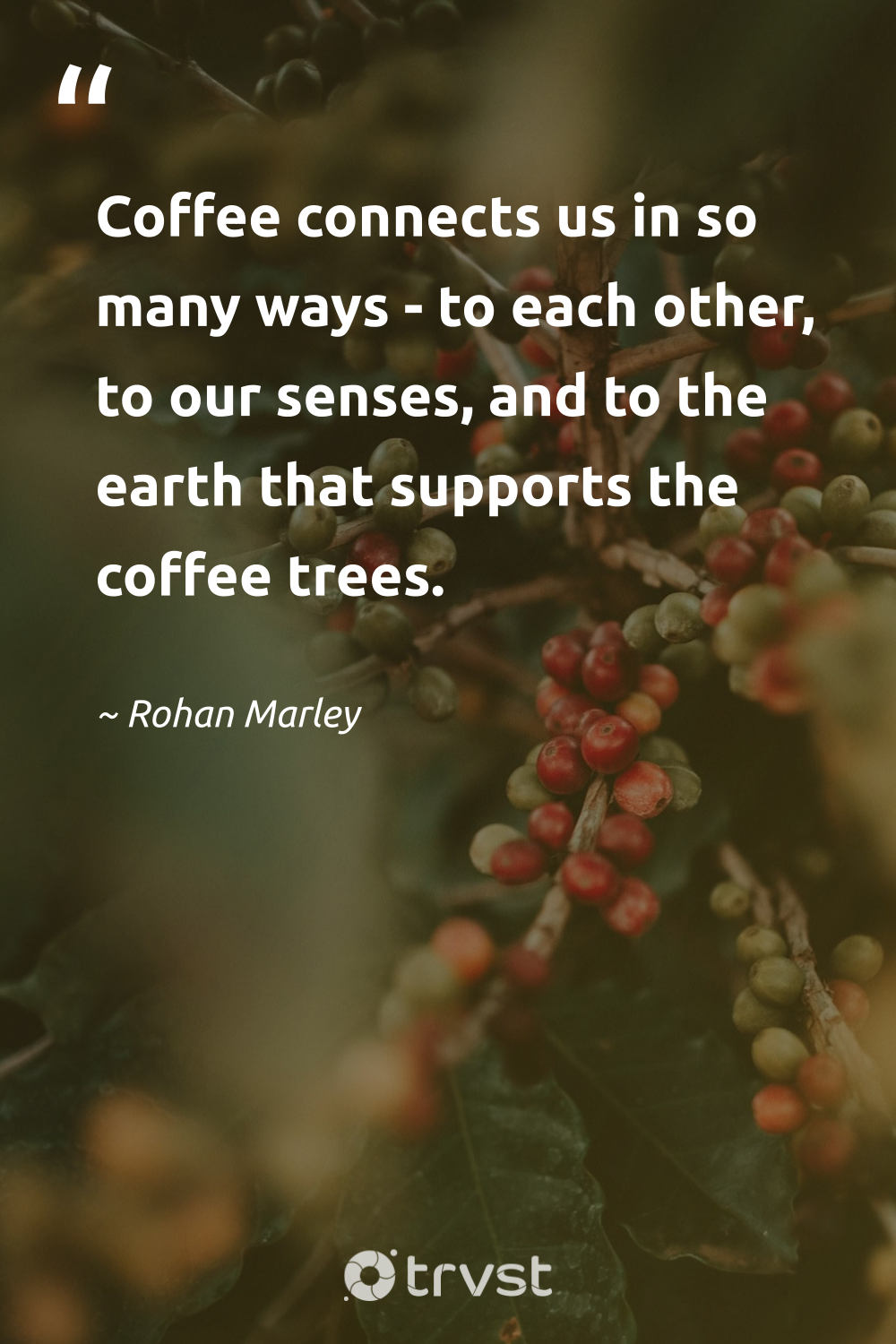 61 Coffee Quotes and Sayings to Energize & Kick Start the Day