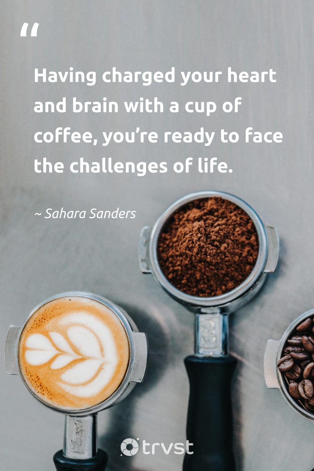 61 Coffee Quotes and Sayings to Energize & Kick Start the Day