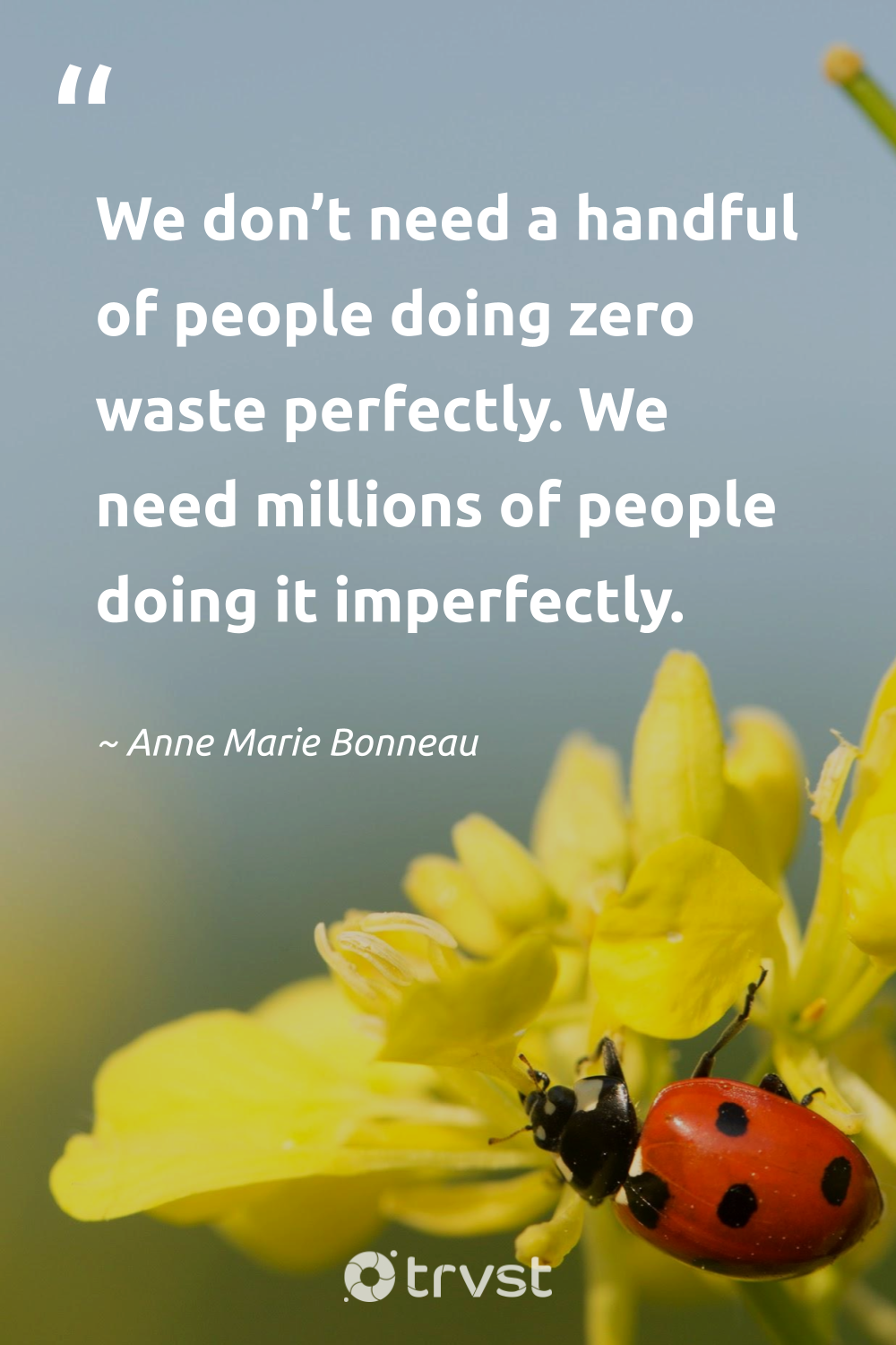 35 Zero Waste Quotes and Sayings to Inspire Lifestyle Changes