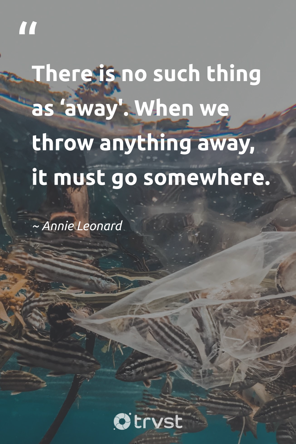 35 Zero Waste Quotes and Sayings to Inspire Lifestyle Changes