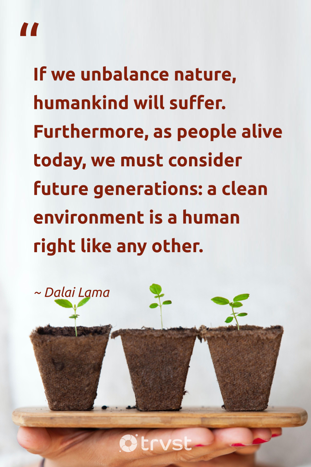 35 Zero Waste Quotes and Sayings to Inspire Lifestyle Changes