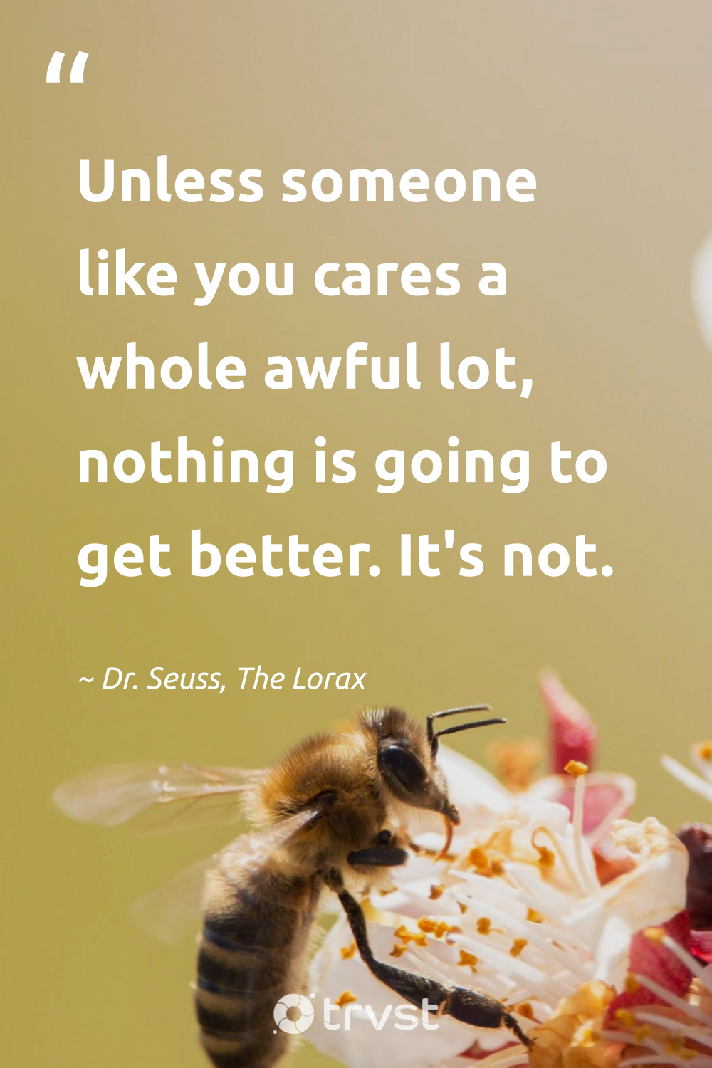 35 Zero Waste Quotes and Sayings to Inspire Lifestyle Changes