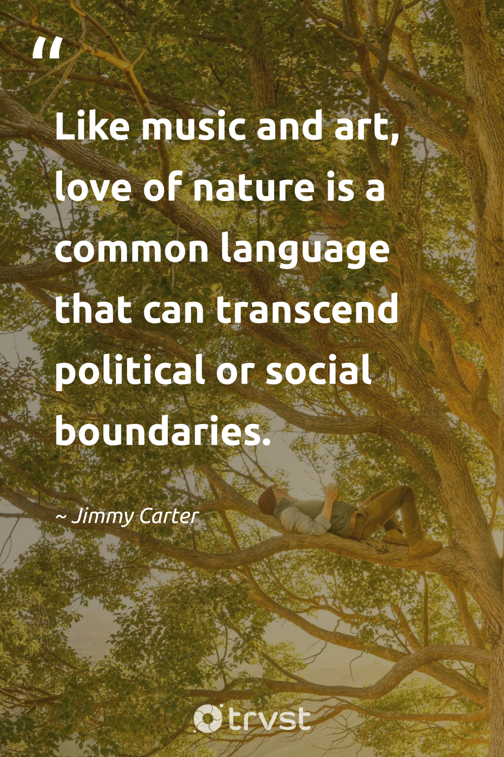 35 Zero Waste Quotes and Sayings to Inspire Lifestyle Changes