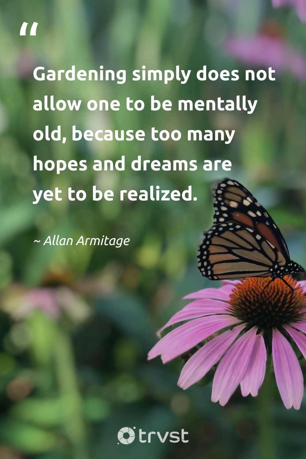 45 Gardening Quotes and Sayings